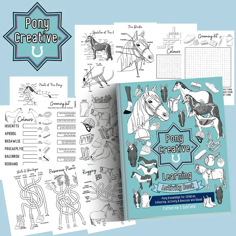 Pony Creative Learning Activity Book - The Horse Diva